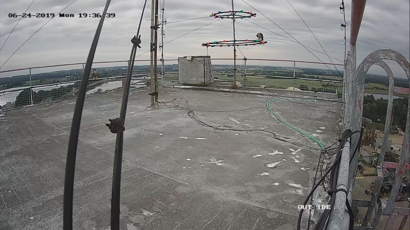 Nar Valley Ornithological Society: 24 June