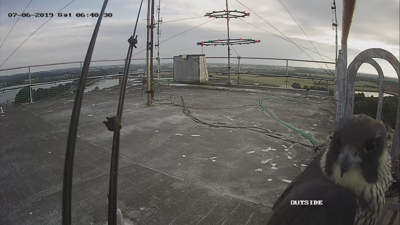 Nar Valley Ornithological Society: 6